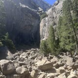 Sentinel Meadow Cook's Meadow Loop Trail, California - 3,907 Reviews ...