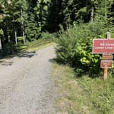 Mount Kit Carson Trail, Washington - 1,002 Reviews, Map | AllTrails