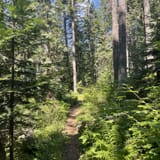 Mount Kit Carson Trail, Washington - 997 Reviews, Map | AllTrails