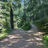 Mount Kit Carson Trail, Washington - 997 Reviews, Map | AllTrails