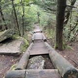 Slide Mountain Trail, New York - 1,742 Reviews, Map | AllTrails