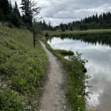Sunshine Meadows, Alberta, Canada - 337 Reviews, Map | AllTrails