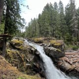 Silver Falls Loop, Washington - 3,912 Reviews, Map | AllTrails