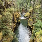 Silver Falls Loop, Washington - 3,912 Reviews, Map | AllTrails