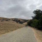 Mission Peak Loop from Stanford Avenue Staging Area, California - 8,356 ...