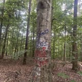 Poor Farm Park Trails, Virginia - 641 Reviews, Map | AllTrails
