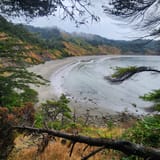 Cape Sebastian Trail, Oregon - 843 Reviews, Map | AllTrails