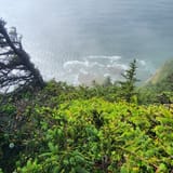 Cape Sebastian Trail, Oregon - 854 Reviews, Map | AllTrails