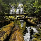Proxy Falls Loop, Oregon - 1,344 Reviews, Map | AllTrails
