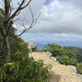 Hawksbill Loop Trail, Virginia - 4,906 Reviews, Map | AllTrails