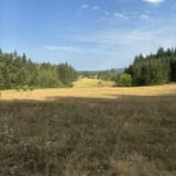 Robin Hill Park, Washington - 325 Reviews, Map | AllTrails