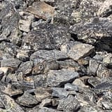Mount Chapin, Chiquita, and Ypsilon Mountain via Chapin Pass Trail ...