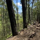 Makiki Valley Loop, Oahu, Hawaii - 5,844 Reviews, Map | AllTrails