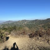 Fryman Canyon Trail, California - 6,445 Reviews, Map | AllTrails