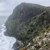 Mercer Bay Loop Track, Auckland, New Zealand - 778 Reviews, Map | AllTrails