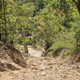 Turkey Bay OHV Trail, Kentucky - 80 Reviews, Map | AllTrails