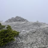 Mount Cardigan Loop Trail, New Hampshire - 2,343 Reviews, Map | AllTrails
