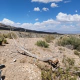 The Slots (Lower Kyle Canyon), Nevada - 226 Reviews, Map | AllTrails
