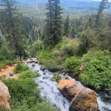 Cascade Falls, Utah - 903 Reviews, Map | AllTrails