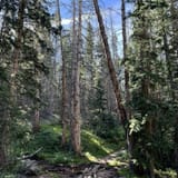 Raspberry Mountain Trail via Ring the Peak Trail, Colorado - 2,078 ...