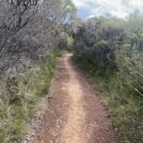 Engadine to Heathcote Loop via Engadine Trail, New South Wales ...