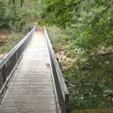 Wilson River Trail, Oregon - 822 Reviews, Map | AllTrails