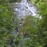 Wilson River Trail, Oregon - 822 Reviews, Map | AllTrails