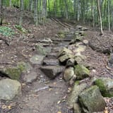 Mount Arab Trail, New York - 2,500 Reviews, Map | AllTrails