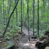 Mount Arab Trail, New York - 2,500 Reviews, Map | AllTrails
