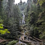 Proxy Falls Loop, Oregon - 1,344 Reviews, Map | AllTrails