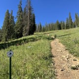 Ute Trail, Colorado - 1,377 Reviews, Map | AllTrails