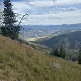 Cinnamon Mountain Trail, Montana - 230 Reviews, Map | AllTrails