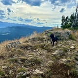 Cinnamon Mountain Trail, Montana - 231 Reviews, Map | AllTrails