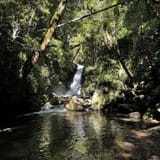 Coomera Circuit Walk, Queensland, Australia - 1,395 Reviews, Map ...