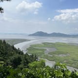 Suncheon Bay Nature Reserve - Suncheon Bay Reed Field, South Jeolla ...