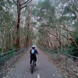 Fernleigh Track, New South Wales, Australia - 259 Reviews, Map | AllTrails