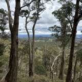 Mount Alexander Loop, Victoria, Australia - 460 Reviews, Map | AllTrails