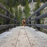 Spray Loop Trail, Alberta, Canada - 714 Reviews, Map | AllTrails