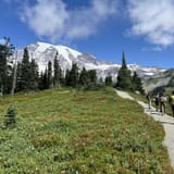 Skyline Loop, Washington - 17,308 Reviews, Map | AllTrails