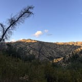 Homestead to Blue Ridge Loop, California - 3,246 Reviews, Map | AllTrails