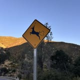 Homestead to Blue Ridge Loop, California - 3,246 Reviews, Map | AllTrails