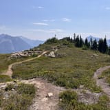 Mount Dickerman Trail, Washington - 1,848 Reviews, Map | AllTrails