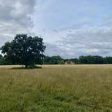 Bathwick and Claverton Down Circular (Bath Skyline), Somerset, England ...