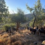 Mount Zas (Zeus) Trail, Naxos, Greece - 578 Reviews, Map | AllTrails