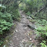 Three Ridges Loop via Appalachian Trail and Mau-Har Trail, Virginia ...