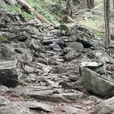 Three Ridges Loop via Appalachian Trail and Mau-Har Trail, Virginia ...