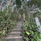 Kanching Waterfalls, Selangor, Malaysia - 482 Reviews, Map | AllTrails