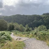 Nicky Nook Circular, Lancashire, England - 1,127 Reviews, Map | AllTrails