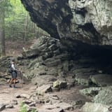 Fiery Gizzard Loop, Tennessee - 1,321 Reviews, Map | AllTrails