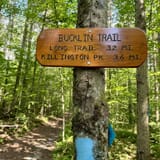 Killington Peak via Bucklin Trail, Vermont - 2,006 Reviews, Map | AllTrails